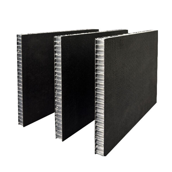 Novel Thermoplastic PP Honeycomb Core CFRT Sheets Composite Sandwich Panel